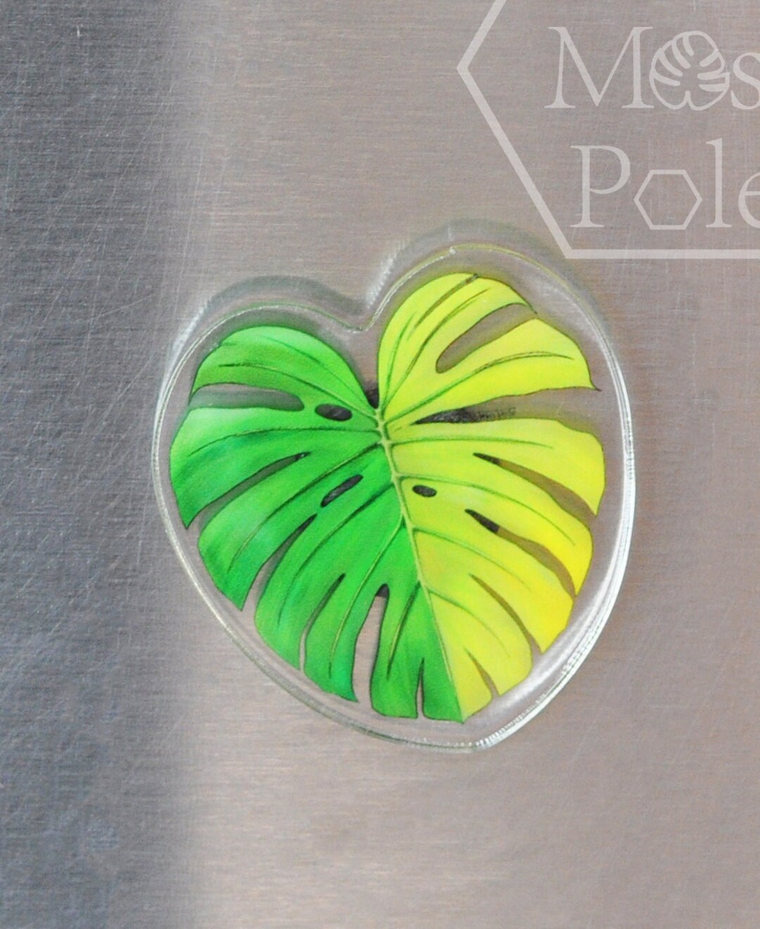 Variegated Monstera Aurea Fridge Magnet | Plant Lover Gift | Plant ...