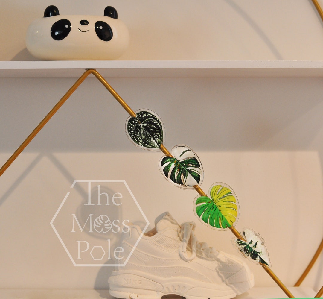 Variegated Monstera Albo Paper Clip | Alocasia Bookmark | Anthurium ...