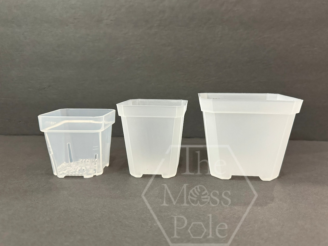 Square Clear Pot - Etsy