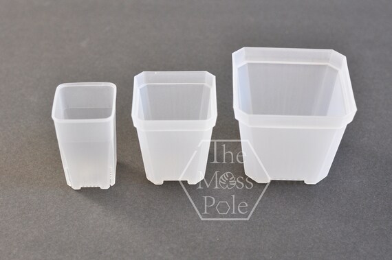 Square Clear Pot - Etsy