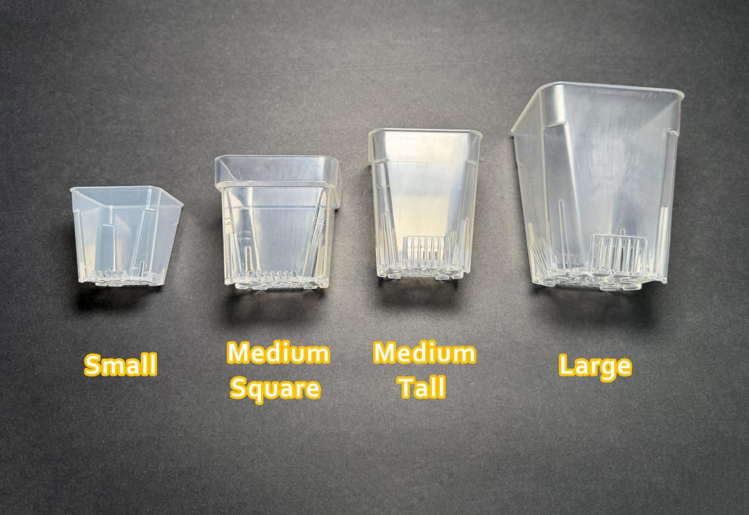 Small Square Clear Pot | Clear Square Small Pot | Transparent Tall ...