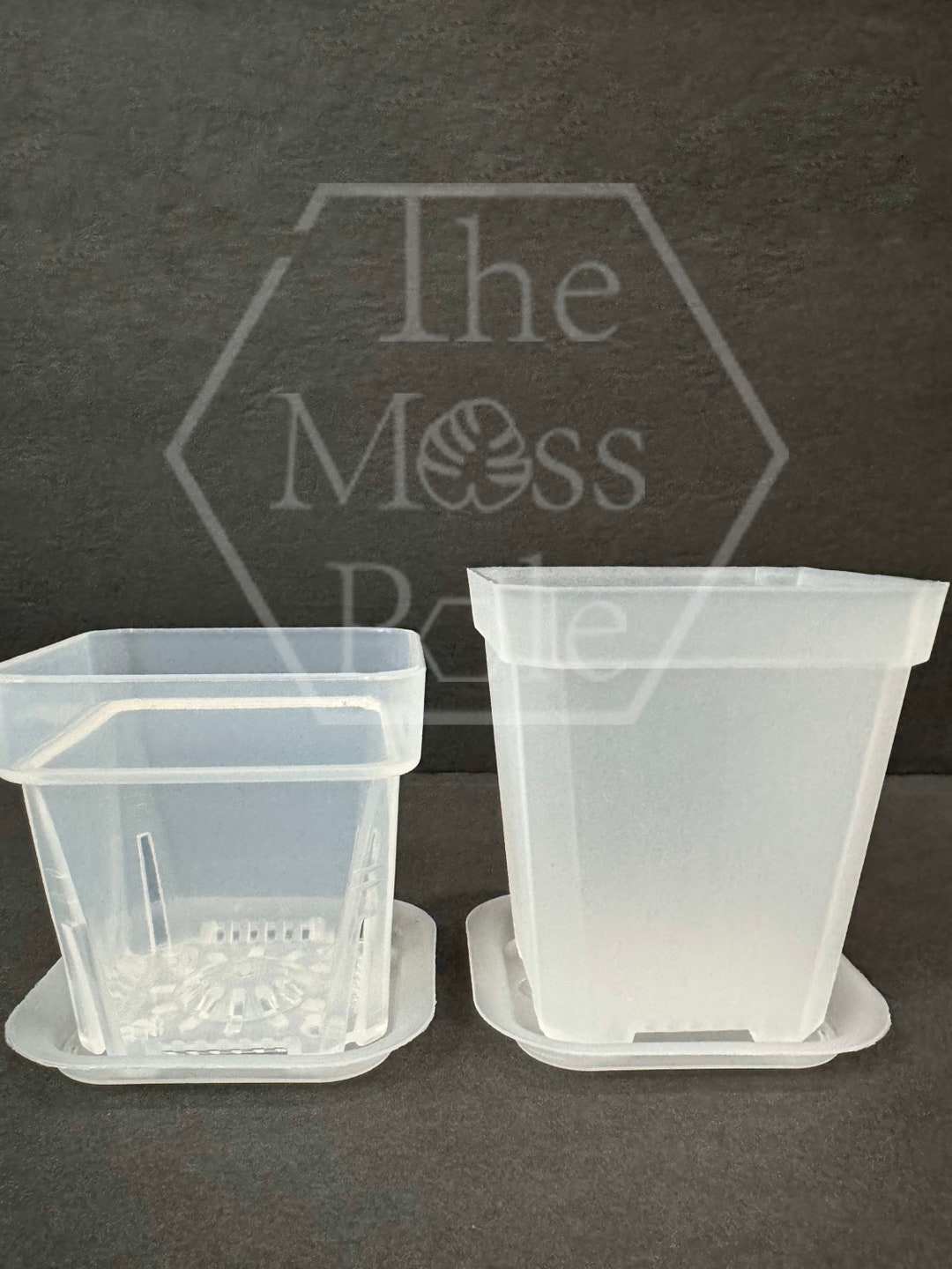 Clear Square Small Planter Pots - Available in Clear and Frost Clear - Etsy