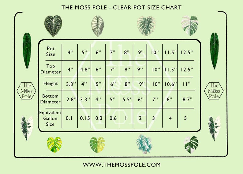 See Through Plant Pot With Excellent Drainage 4 to 12.5 Inch Clear ...