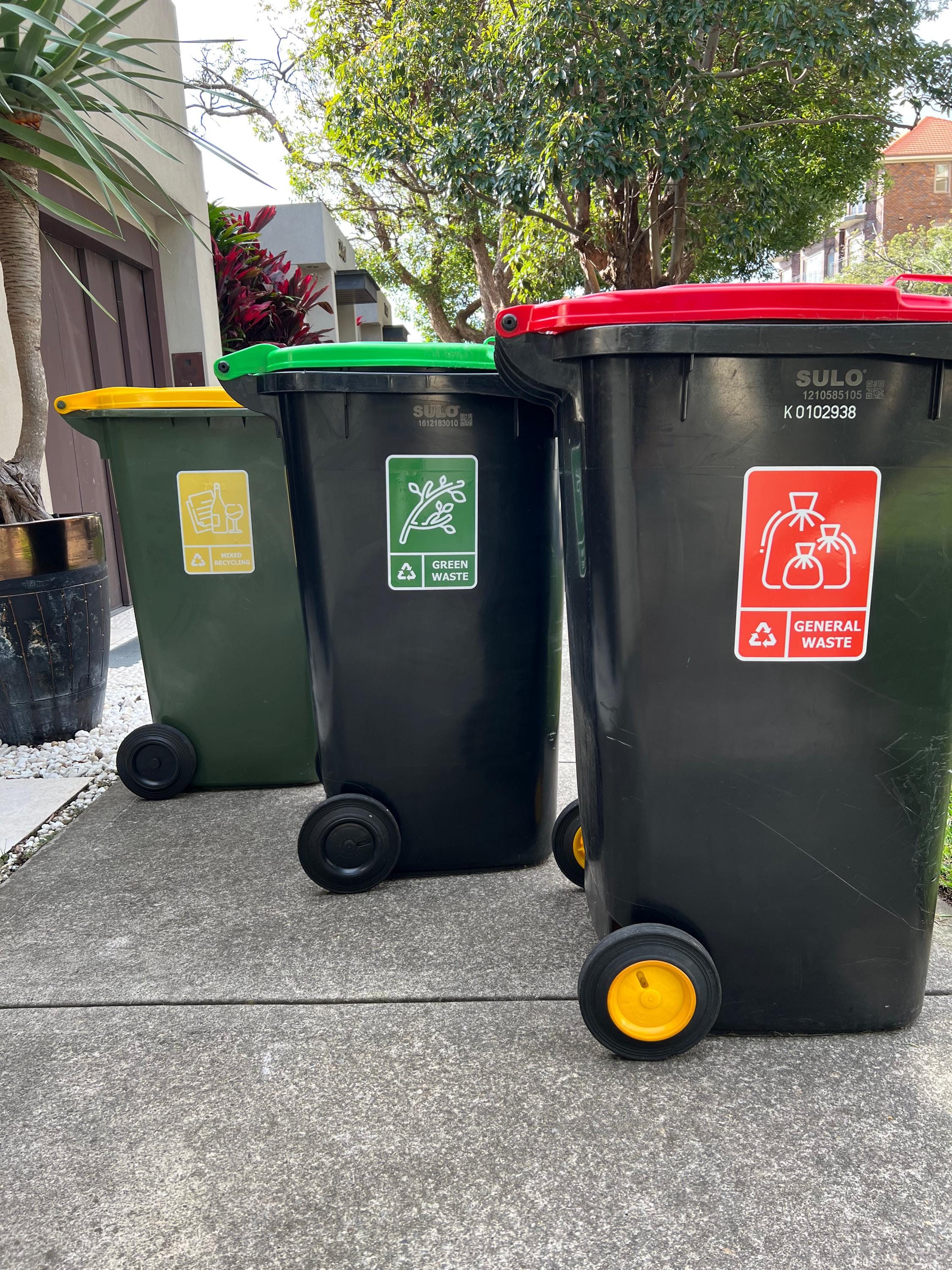 Standard Bin Labels (3-pack) - Etsy