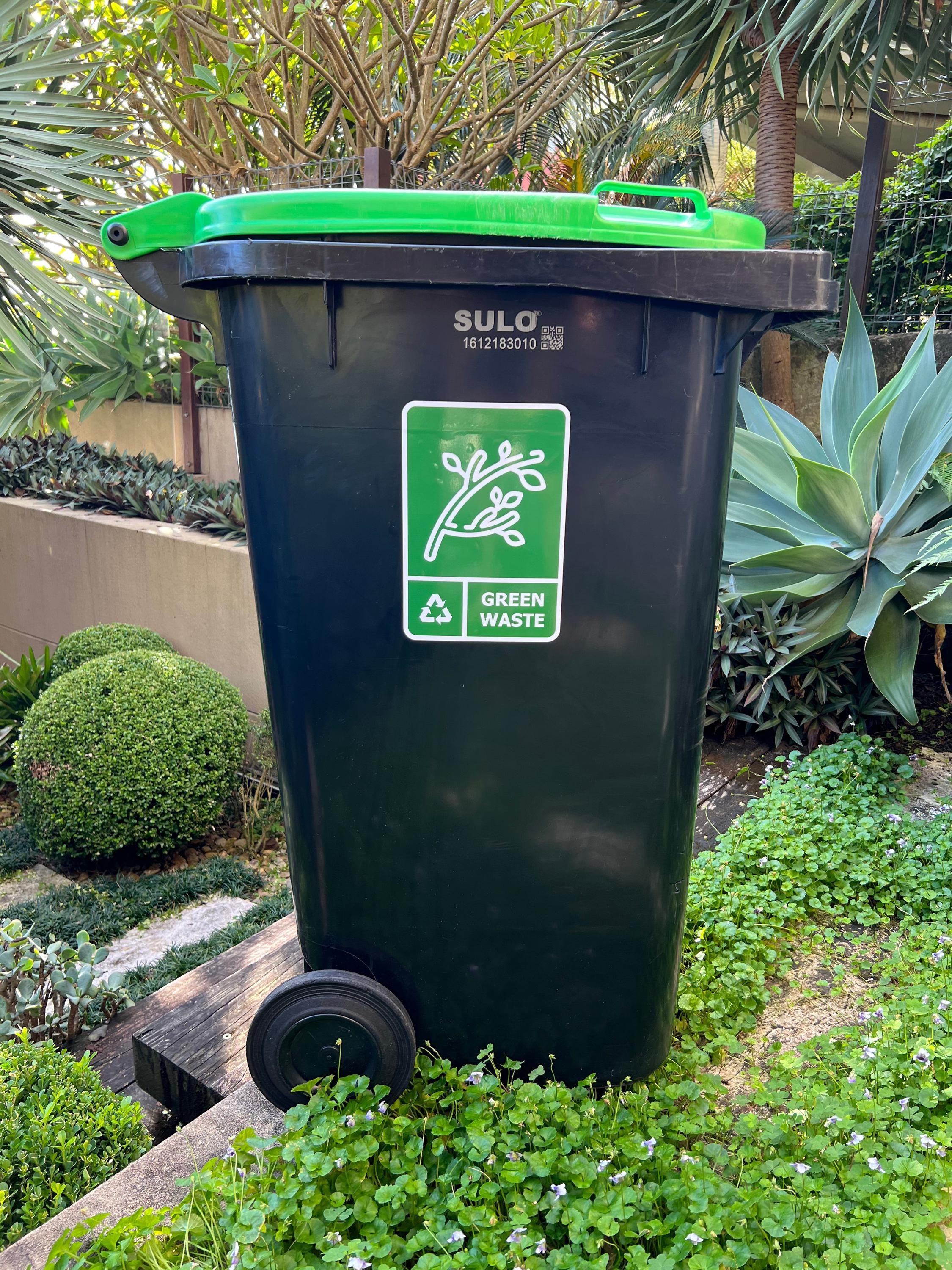 Standard Bin Labels (3-pack) - Etsy