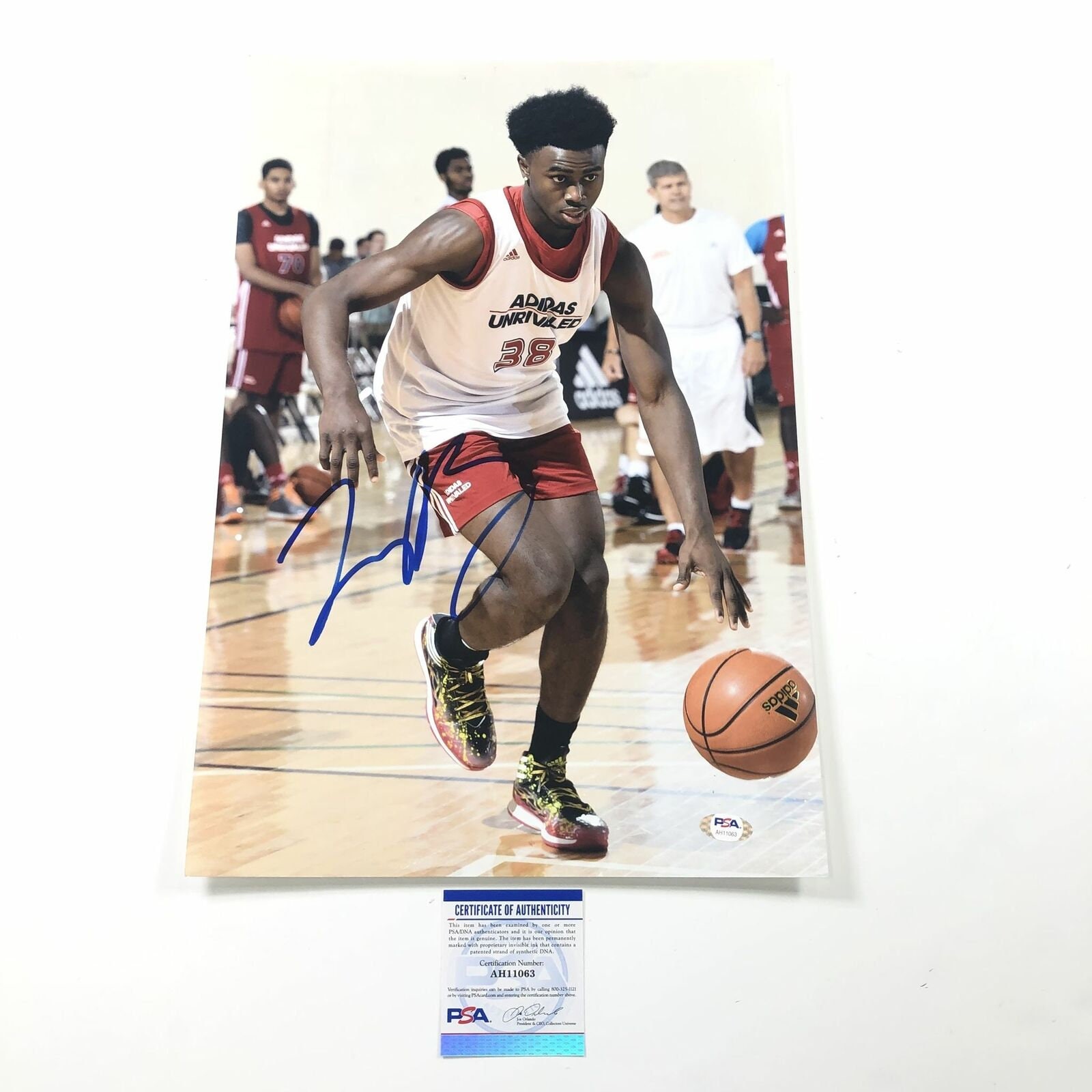 Jaylen Brown Signed 8X10 Photo Psa/Dna Boston Celtics Autographed Cal ...