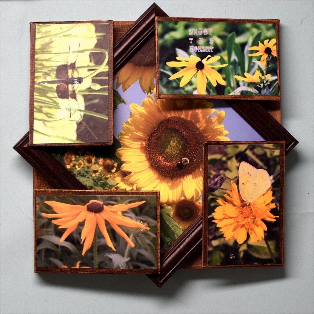 Five Pictures of Nature Assemblage - Etsy