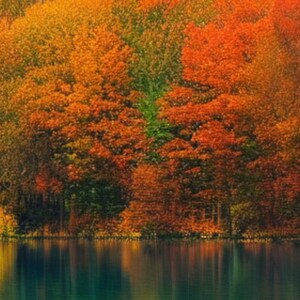 9 Fall Lake Picture Backgrounds for Zoom, Skype, Google Meet, Microsoft ...