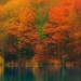 9 Fall Lake Picture Backgrounds for Zoom, Skype, Google Meet, Microsoft ...