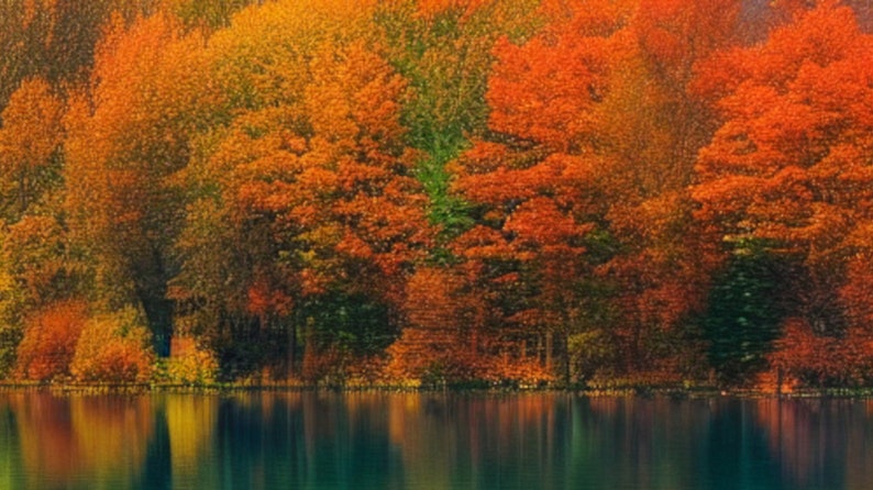 9 Fall Lake Picture Backgrounds for Zoom, Skype, Google Meet, Microsoft ...