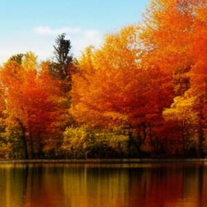 9 Fall Lake Picture Backgrounds for Zoom, Skype, Google Meet, Microsoft ...