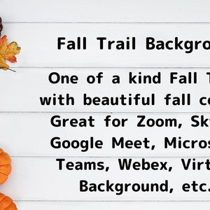 Fall Trail Background for Zoom, Skype, Google Meet, Microsoft Teams ...