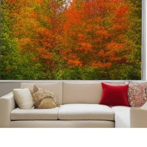 6 Fall Window Backgrounds for Zoom, Skype, Google Meet, Microsoft Teams ...