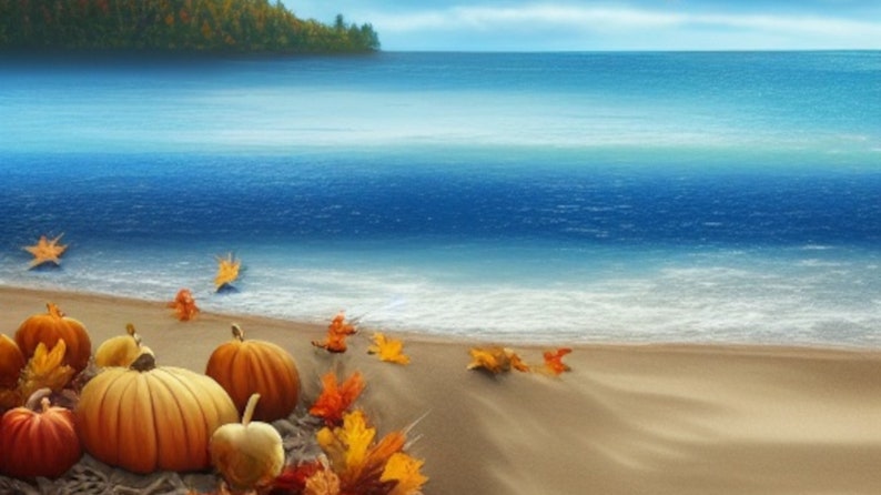 8 Fall Beach Picture Backgrounds for Zoom, Skype, Google Meet ...
