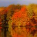 9 Fall Lake Picture Backgrounds for Zoom, Skype, Google Meet, Microsoft ...