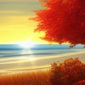 10 Fall Beach Picture Backgrounds for Zoom, Skype, Google Meet ...