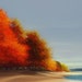 10 Fall Beach Picture Backgrounds for Zoom, Skype, Google Meet ...