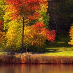 9 Fall Lake Picture Backgrounds for Zoom, Skype, Google Meet, Microsoft ...