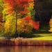9 Fall Lake Picture Backgrounds for Zoom, Skype, Google Meet, Microsoft ...