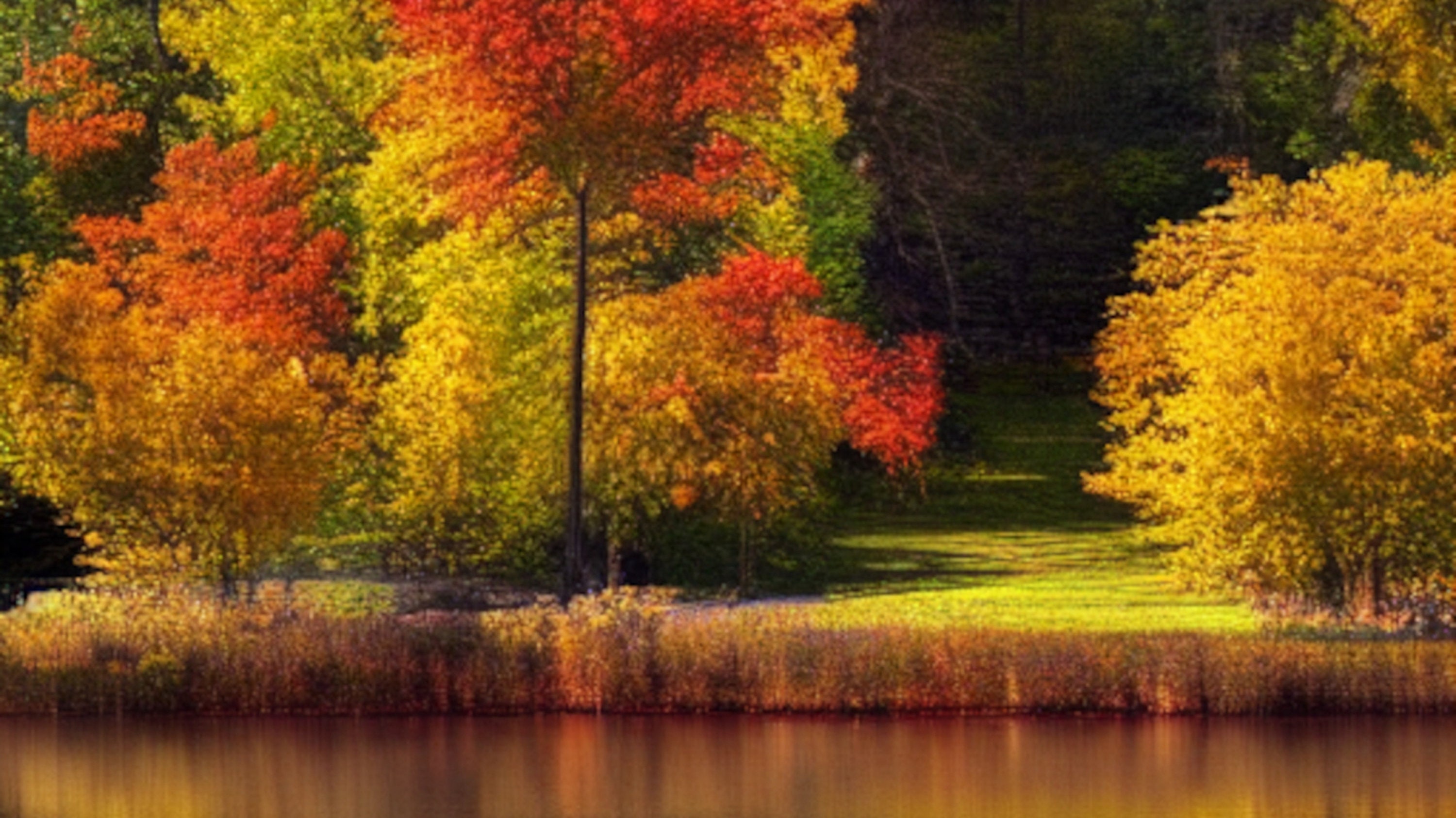 9 Fall Lake Picture Backgrounds for Zoom, Skype, Google Meet, Microsoft ...