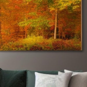 8 Fall Picture Backgrounds for Zoom, Skype, Google Meet, Microsoft ...