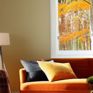 6 Fall Window Backgrounds for Zoom, Skype, Google Meet, Microsoft Teams ...