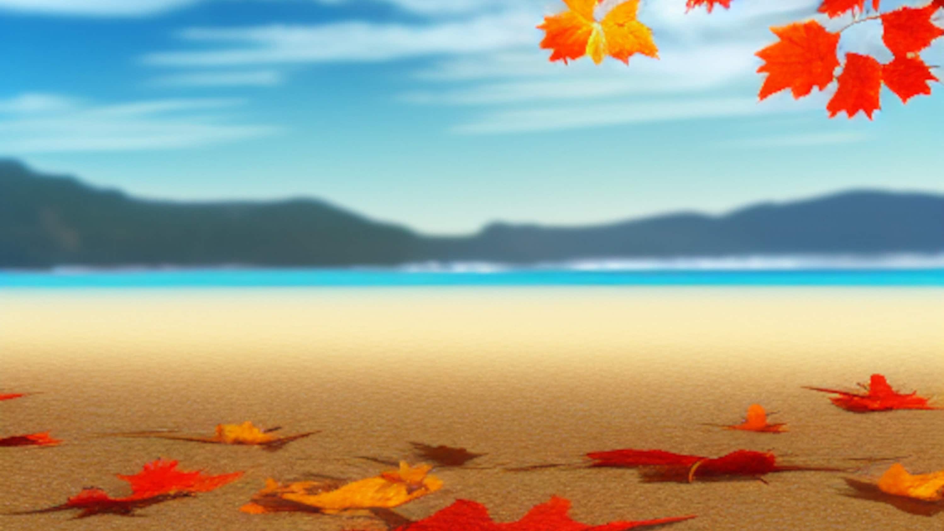8 Fall Beach Picture Backgrounds for Zoom, Skype, Google Meet ...
