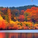 9 Fall Lake Picture Backgrounds for Zoom, Skype, Google Meet, Microsoft ...
