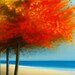 10 Fall Beach Picture Backgrounds for Zoom, Skype, Google Meet ...
