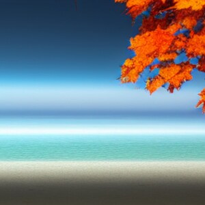 8 Fall Beach Picture Backgrounds for Zoom, Skype, Google Meet ...