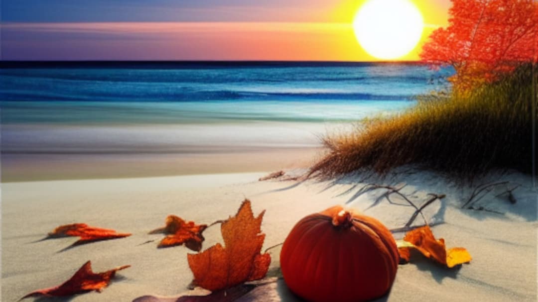8 Fall Beach Picture Backgrounds for Zoom, Skype, Google Meet ...
