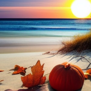 8 Fall Beach Picture Backgrounds for Zoom, Skype, Google Meet ...