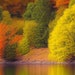 8 Fall Lake Picture Backgrounds for Zoom, Skype, Google Meet, Microsoft ...