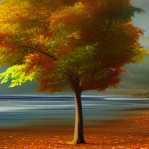 10 Fall Beach Picture Backgrounds for Zoom, Skype, Google Meet ...