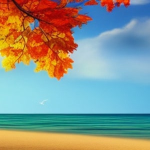 8 Fall Beach Picture Backgrounds for Zoom, Skype, Google Meet ...