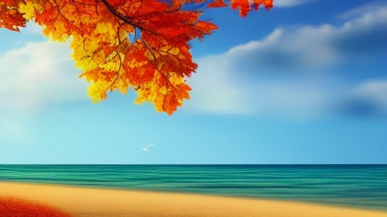 8 Fall Beach Picture Backgrounds for Zoom, Skype, Google Meet ...