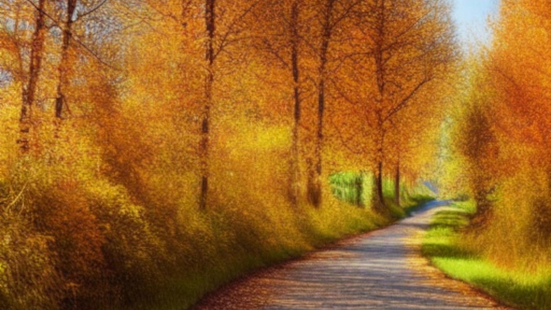 Fall Trail Background for Zoom, Skype, Google Meet, Microsoft Teams ...