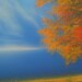 8 Fall Lake Picture Backgrounds for Zoom, Skype, Google Meet, Microsoft ...