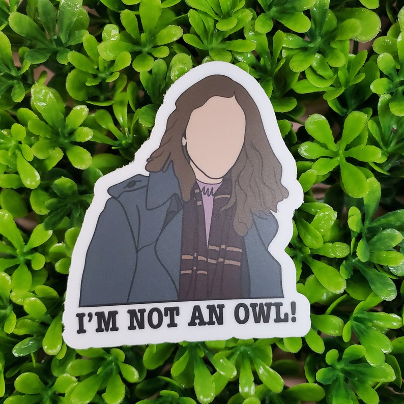 Hermione Inspired Sticker Harry Potter Themed Sticker HP - Etsy