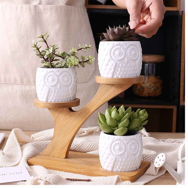 Unique Plant Stand - Etsy