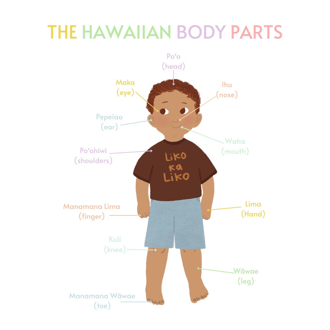 The Hawaiian Body Parts (ʻŌlelo Hawaiʻi Poster) - Etsy