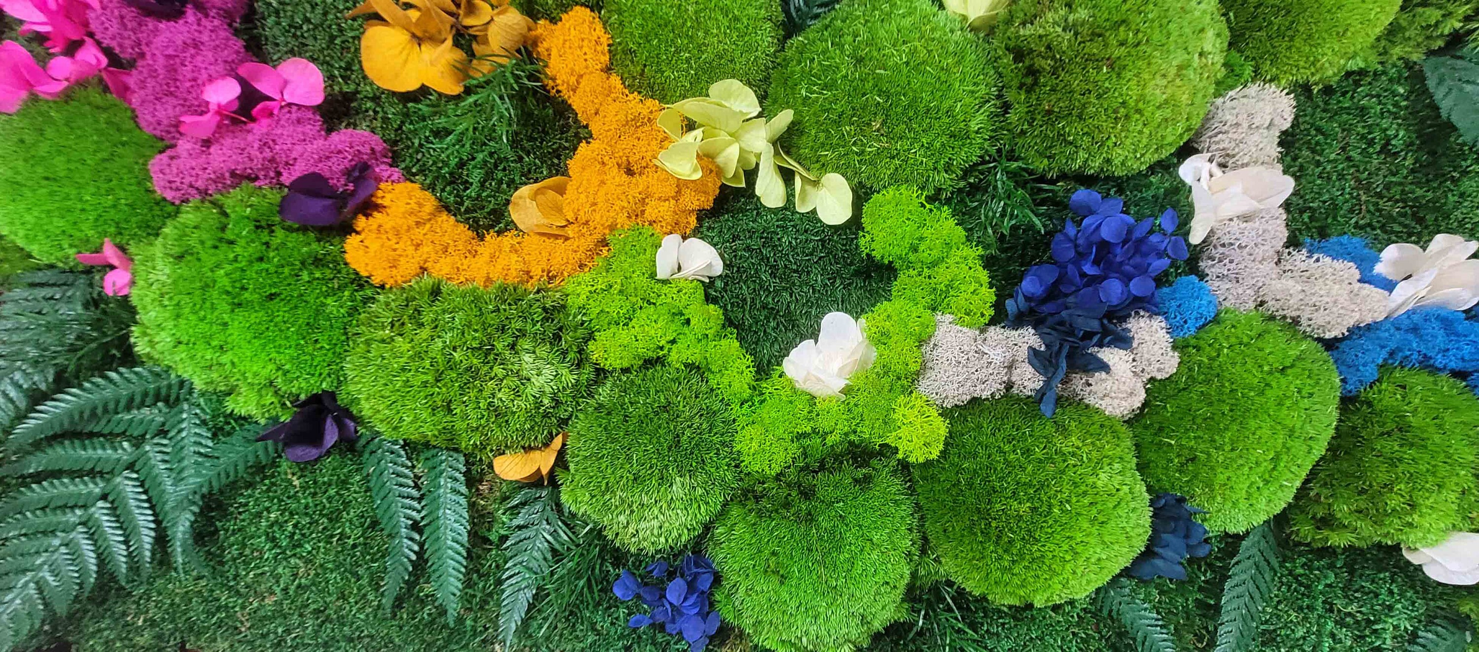 Moss Wall Art With Colorfull Lichens and Preserved Flowers, Real ...