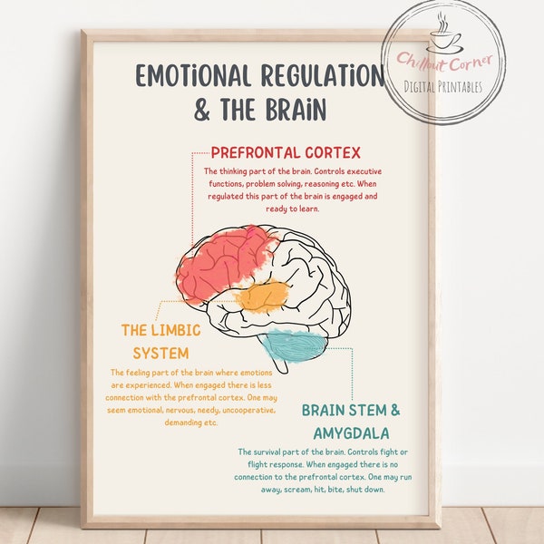 How Trauma Affects the Brain, Human Brain Poster, Brain Anatomy Poster ...