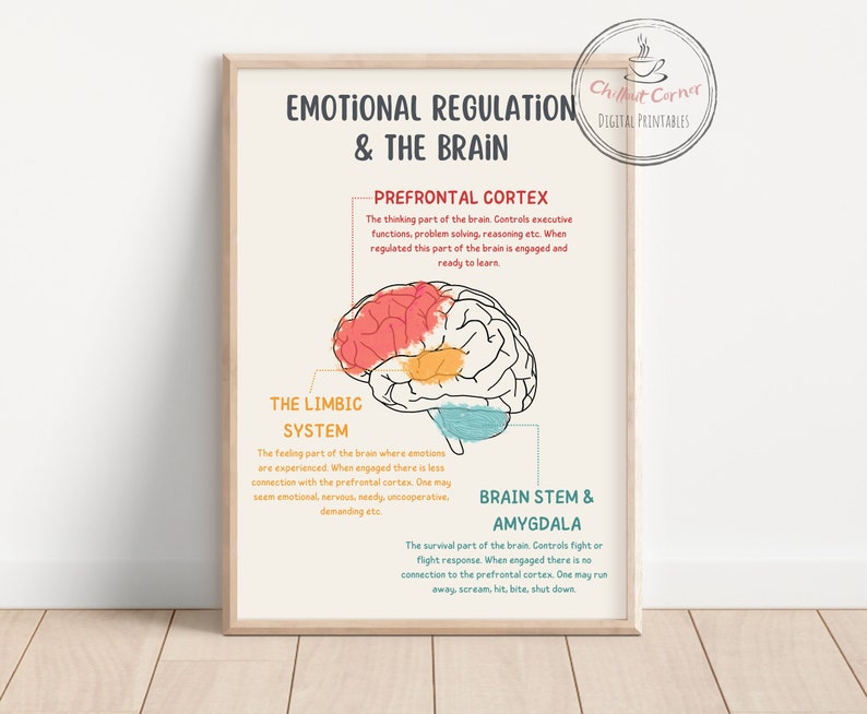 EMOTIONAL REGULATION & the BRAIN, Printable Poster, Brain Anatomy and ...