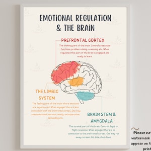 EMOTIONAL REGULATION & the BRAIN Printable Poster Brain - Etsy