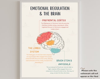 Emotional Regulation Poster - Etsy