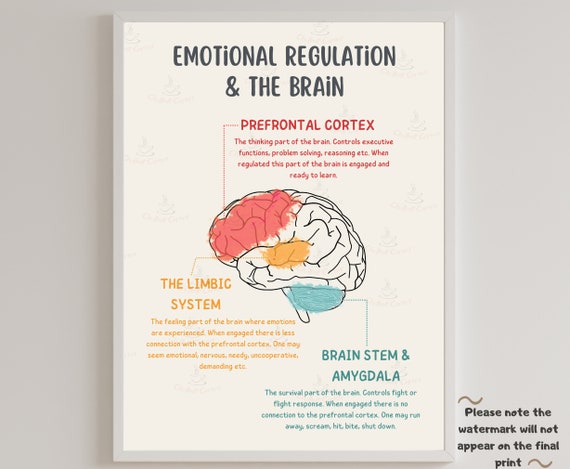 EMOTIONAL REGULATION & the BRAIN Printable Poster Brain - Etsy Australia