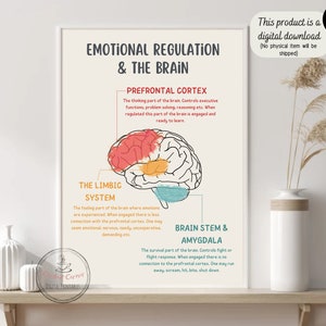 EMOTIONAL REGULATION & the BRAIN, Printable Poster, Brain Anatomy and ...