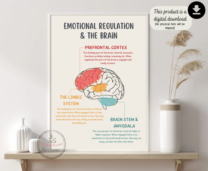 EMOTIONAL REGULATION & the BRAIN, Printable Poster, Brain Anatomy and ...