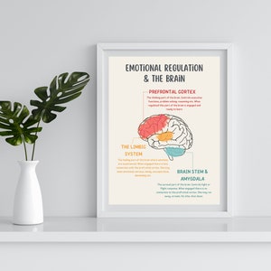EMOTIONAL REGULATION & the BRAIN, Printable Poster, Brain Anatomy and ...